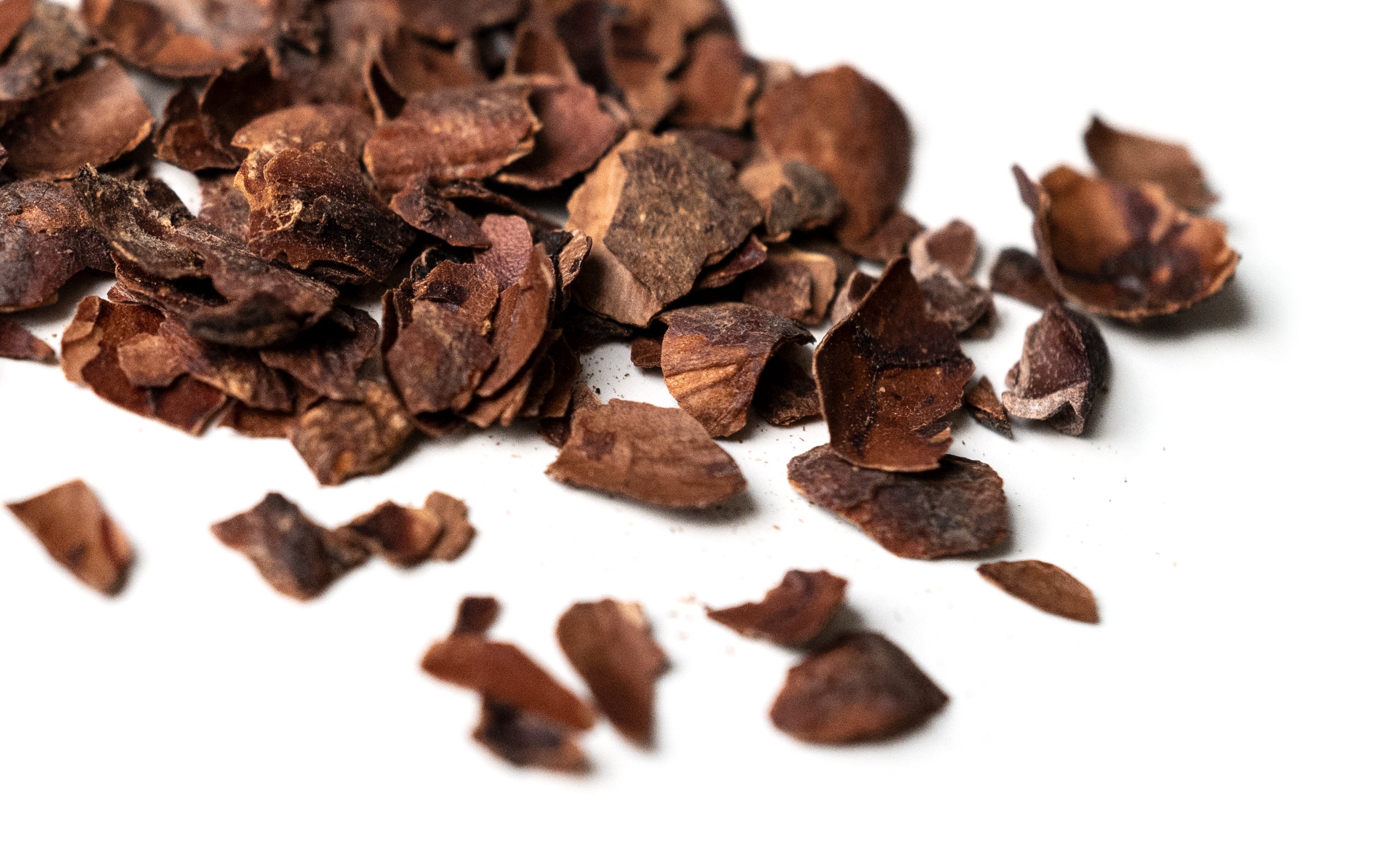 Cocoa shells | Lydia Gautier